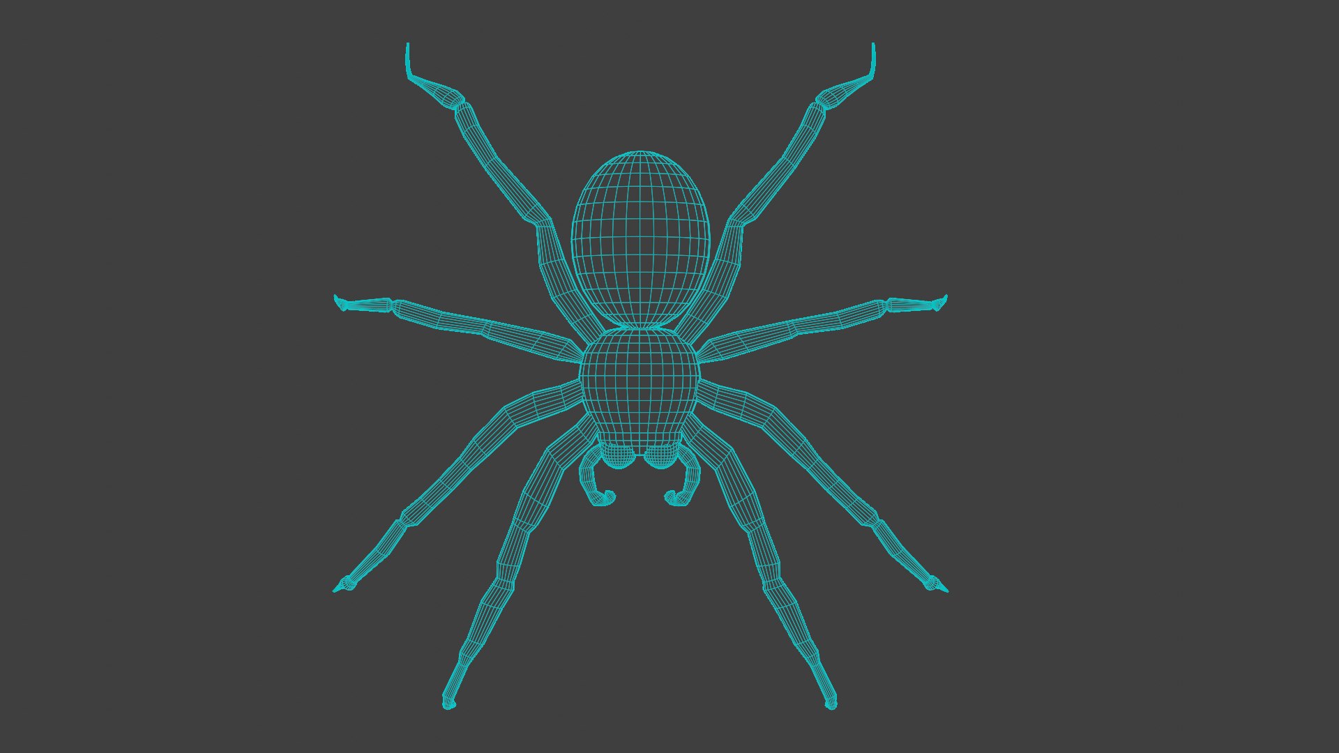 Spider insect nature 3D model - TurboSquid 1641154