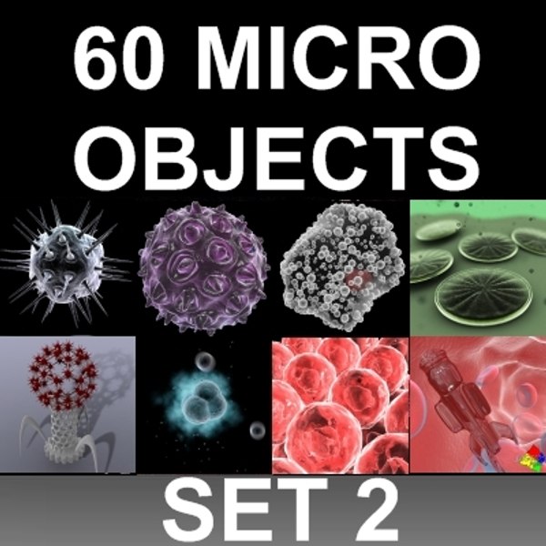 Bacteria 3D Models for Download | TurboSquid