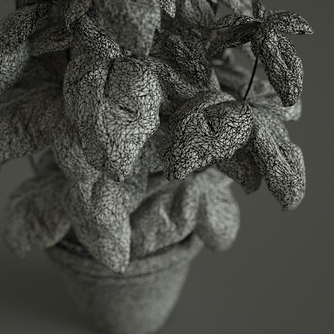 aromatic basil 3d model