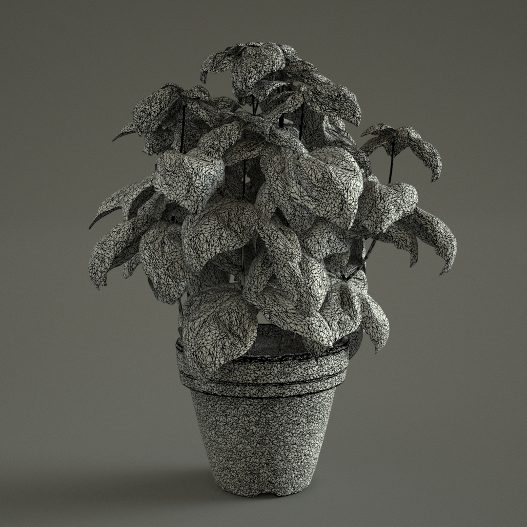 aromatic basil 3d model