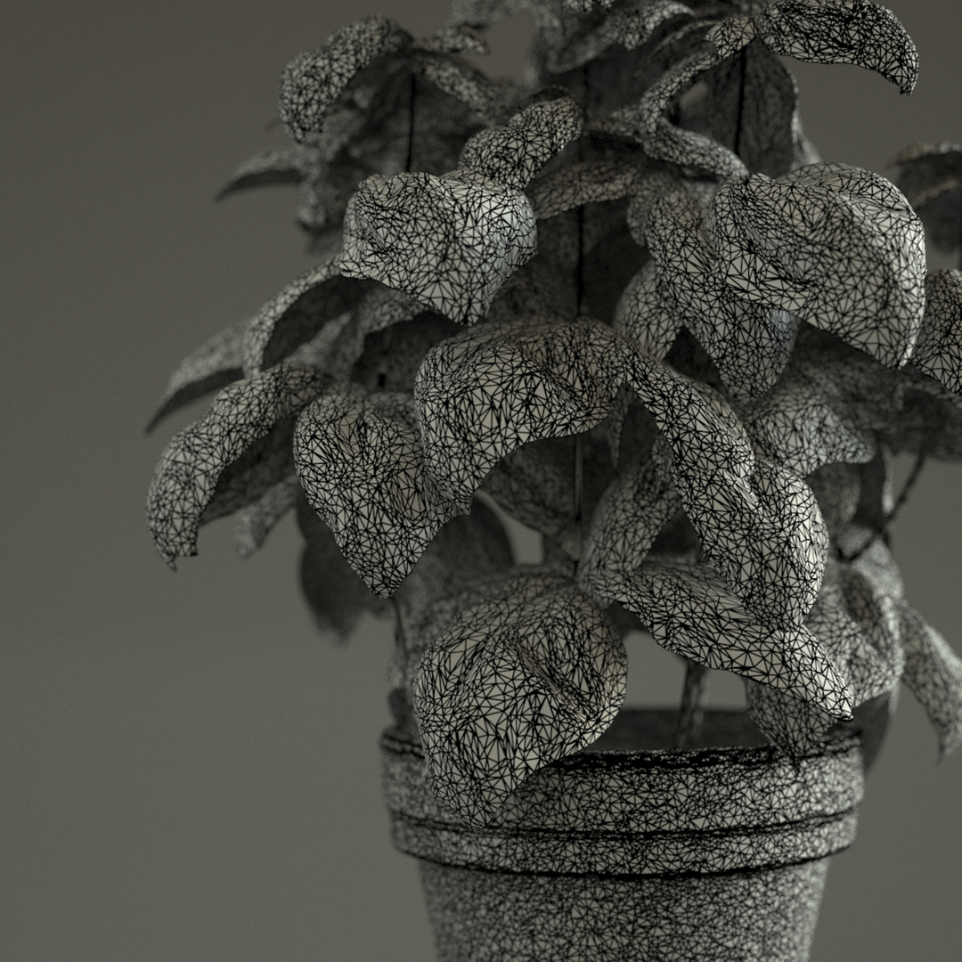aromatic basil 3d model