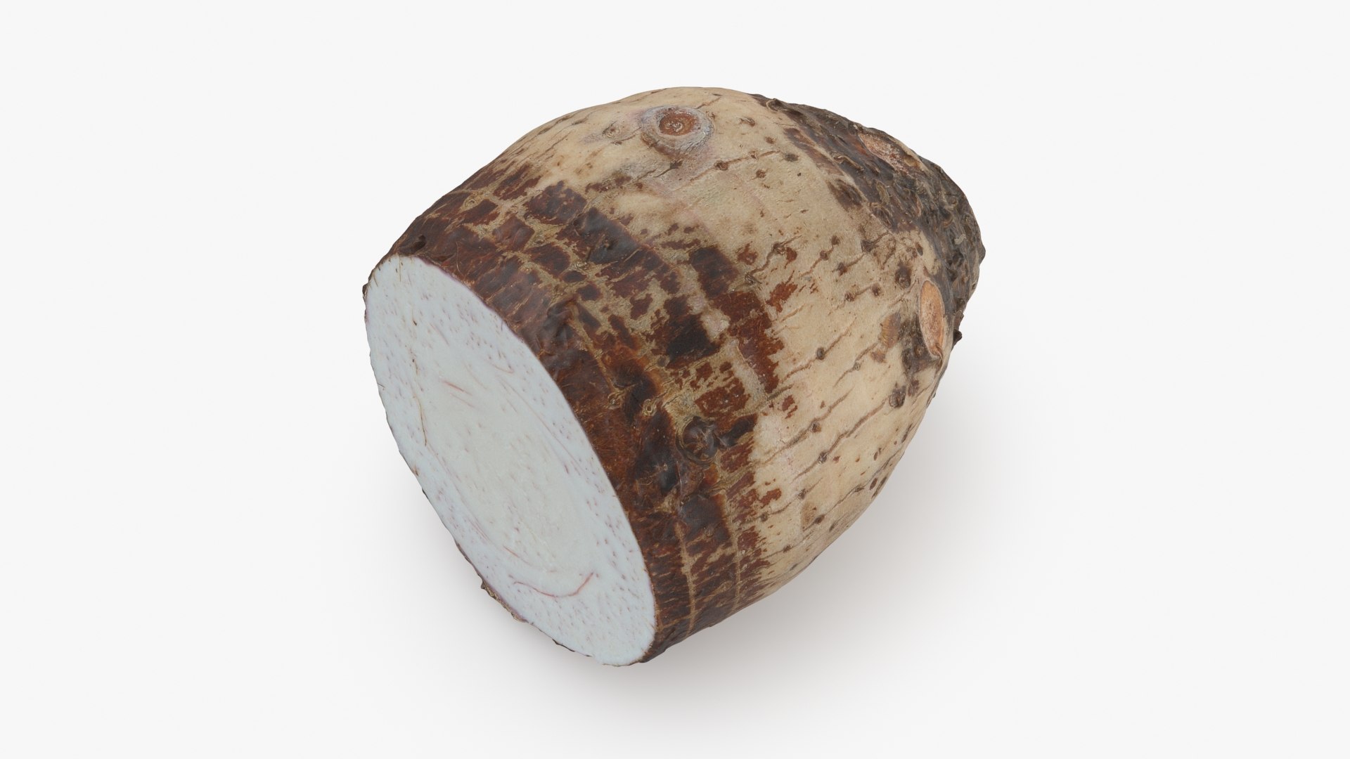 3D Taro Half 01 Model - TurboSquid 2206543