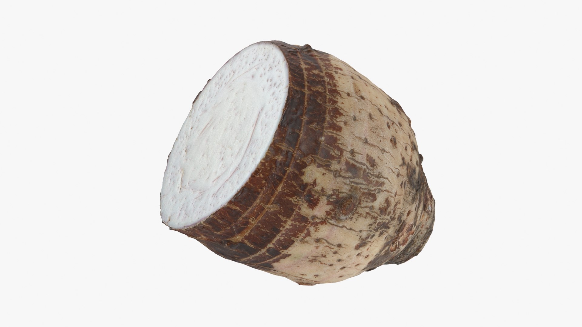 3D Taro Half 01 Model - TurboSquid 2206543