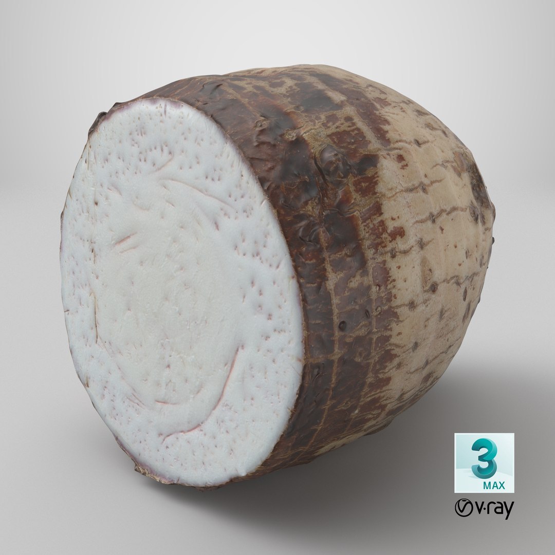 3D Taro Half 01 Model - TurboSquid 2206543