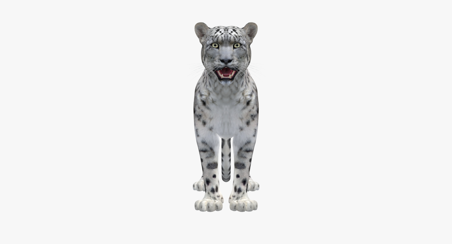 snow leopard 3d model