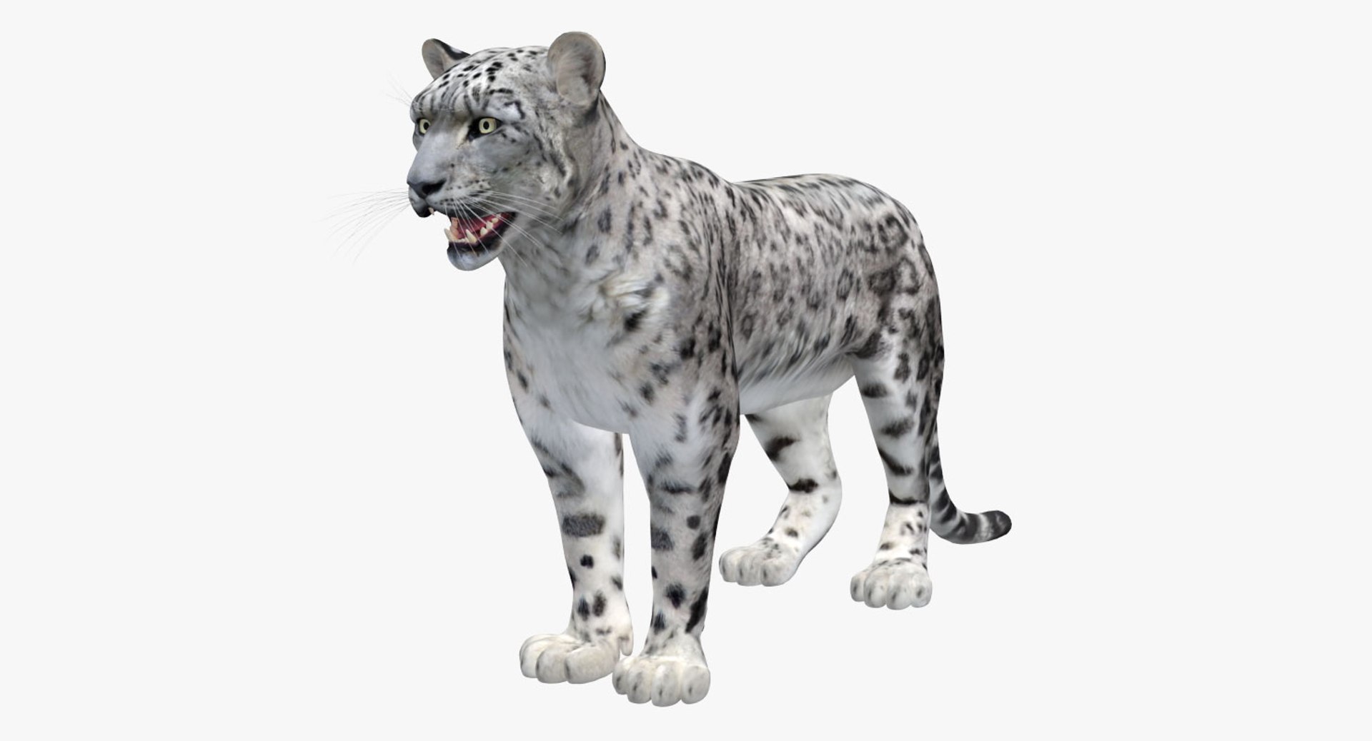 snow leopard 3d model