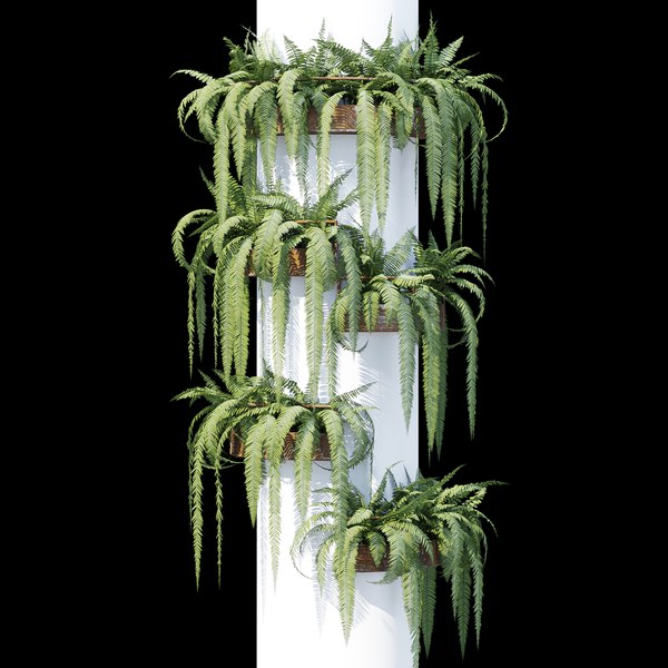 Round box fern model - TurboSquid 1810468