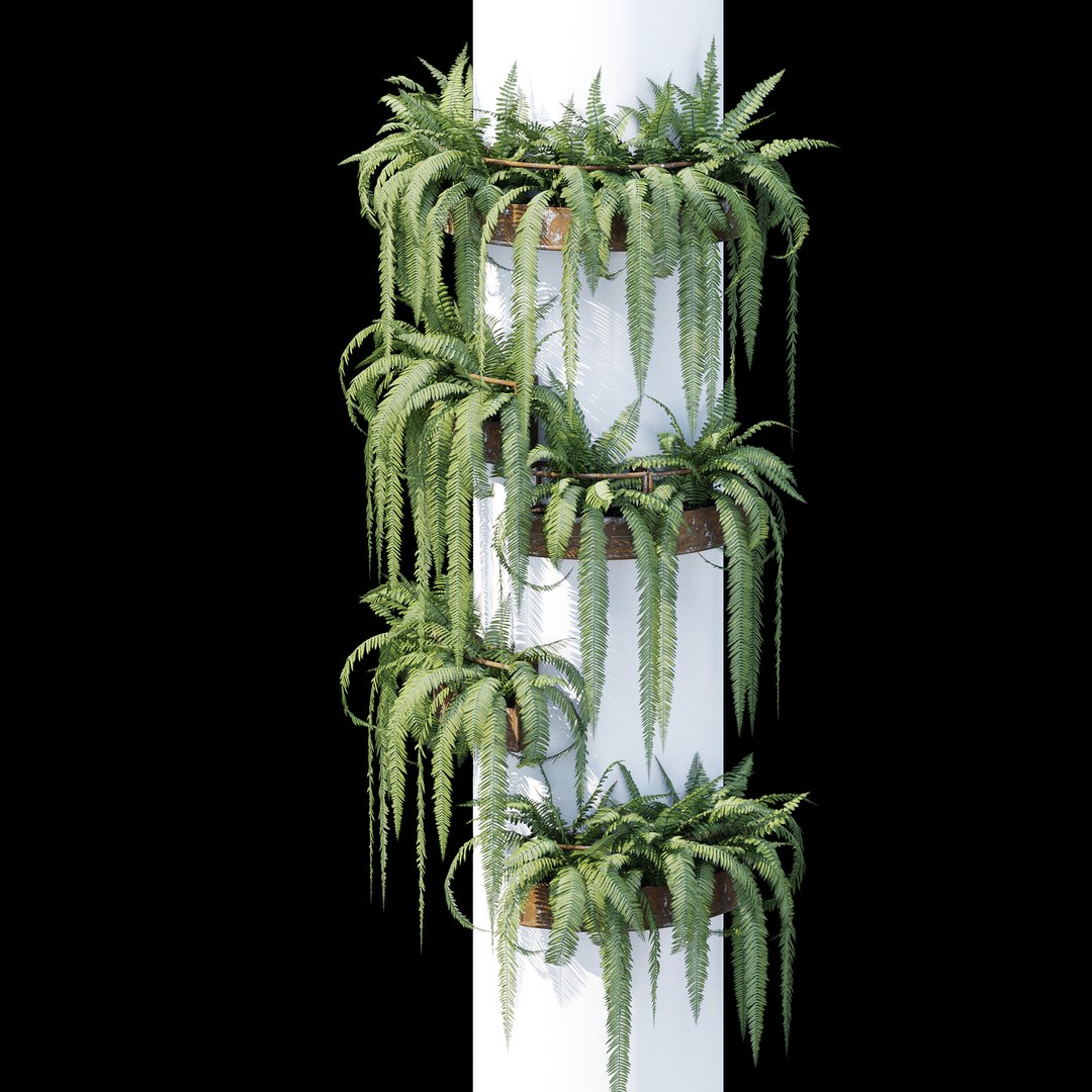 Round Box Fern Model - TurboSquid 1810468