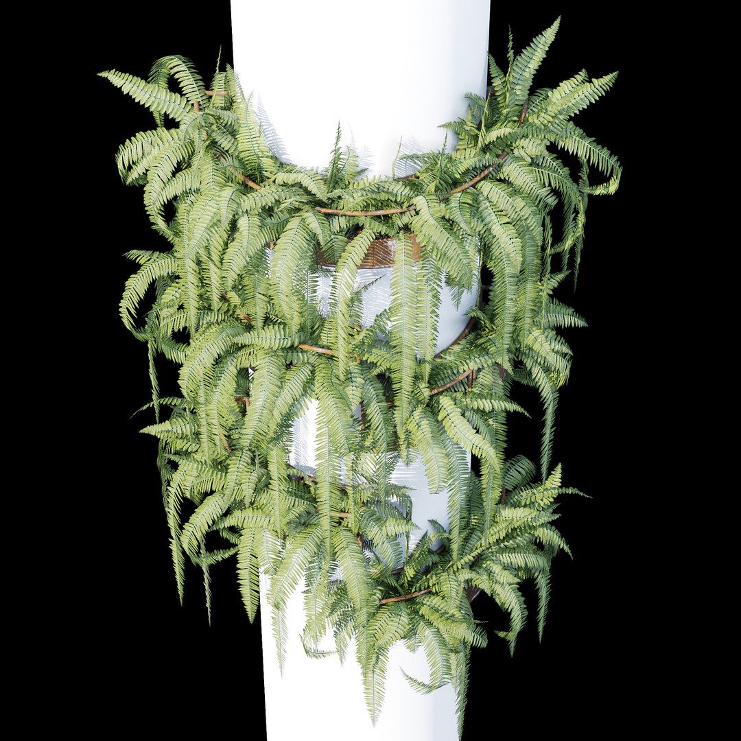 Round Box Fern Model - TurboSquid 1810468