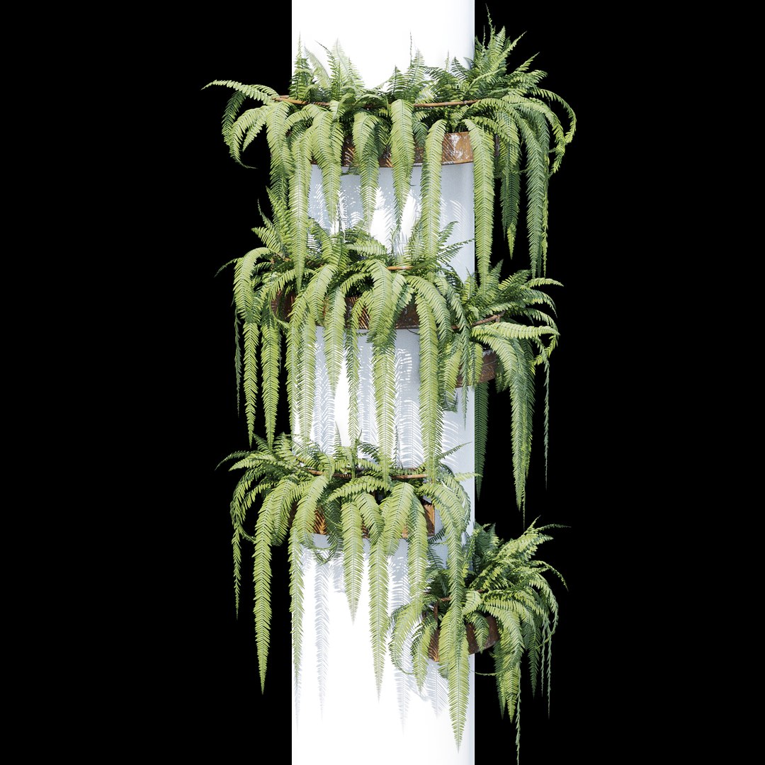 Round Box Fern Model - TurboSquid 1810468