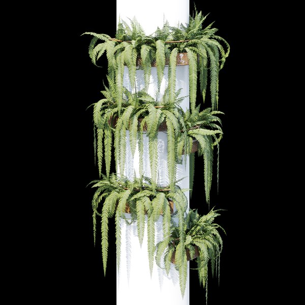 Round box fern model - TurboSquid 1810468