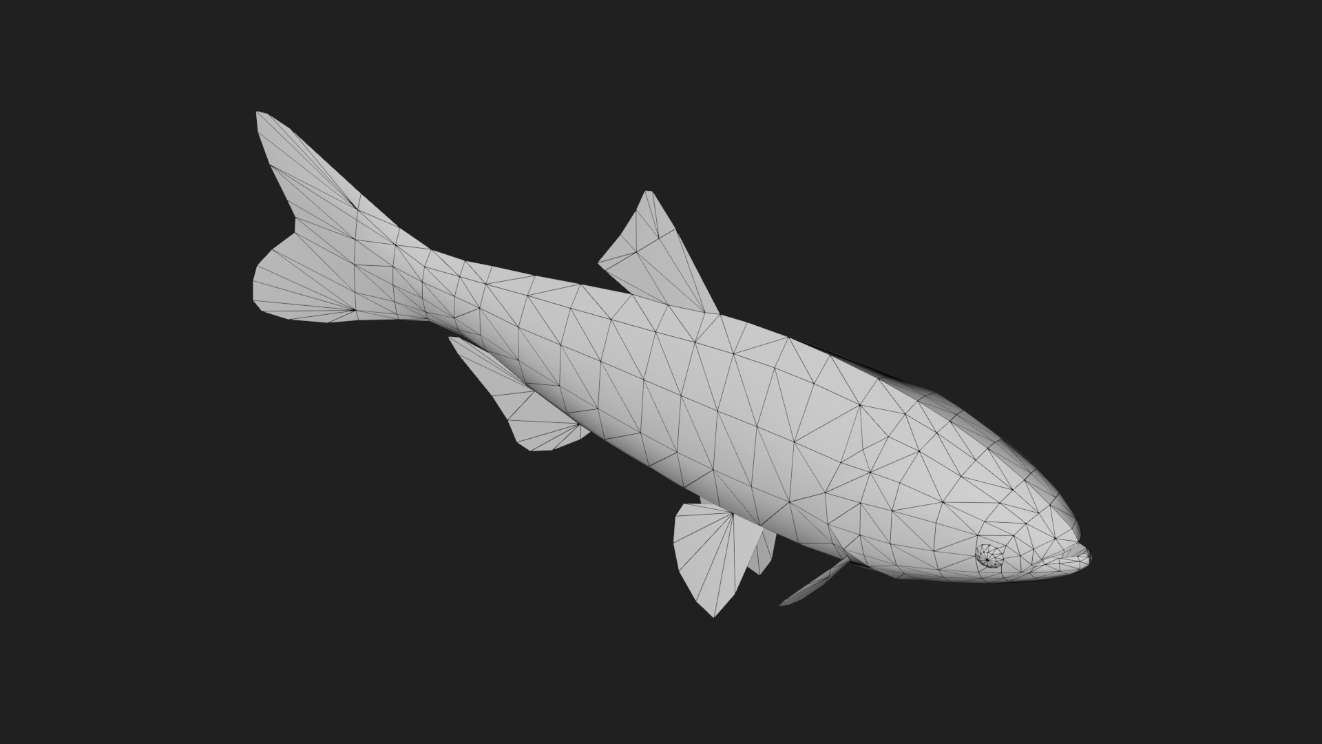 3D Carp Model - TurboSquid 2125088