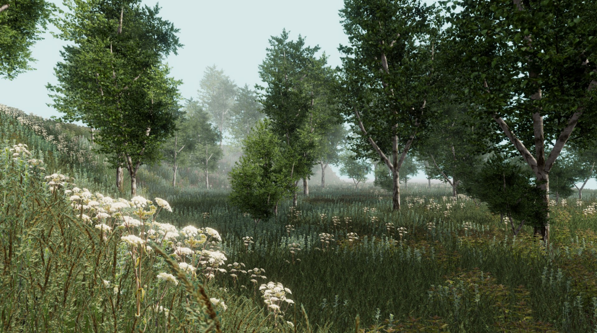 3D Trees Birch Forests Unity Model - TurboSquid 1422389