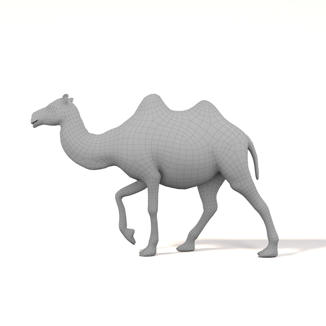 Ceramic Camel Model - TurboSquid 1891347
