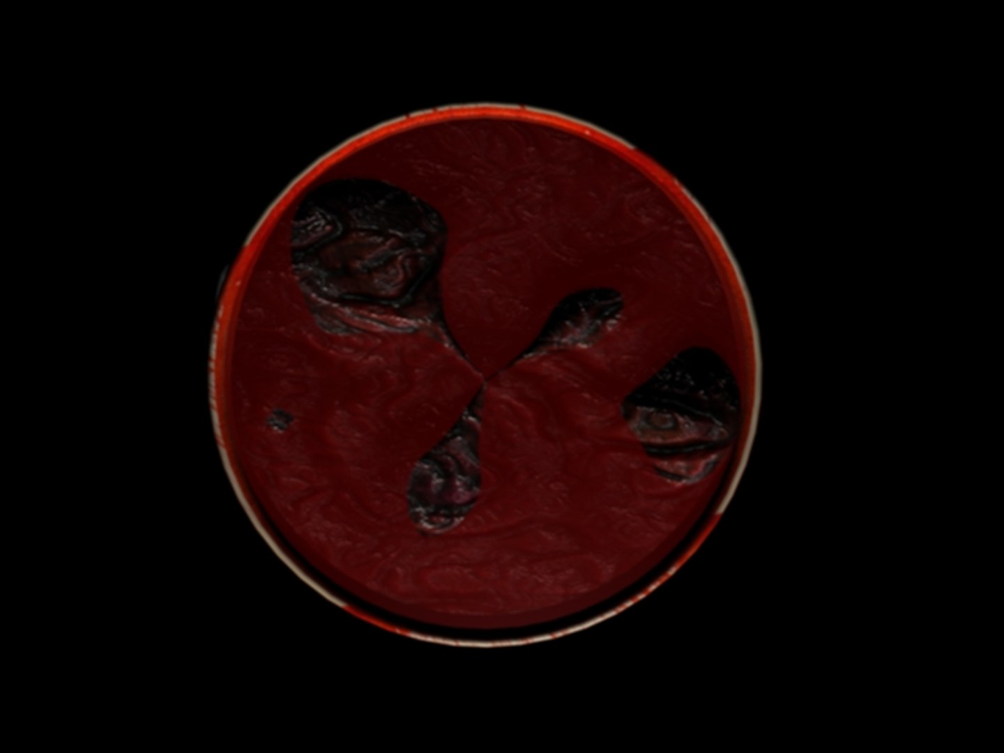 3d Model Bloody Bucket Blood