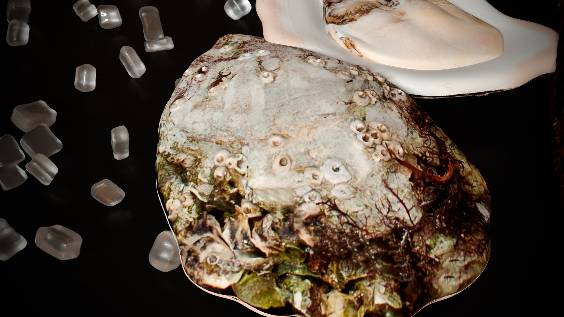 Grilled Fish And Seafood BBQ 3D Model - TurboSquid 2223713