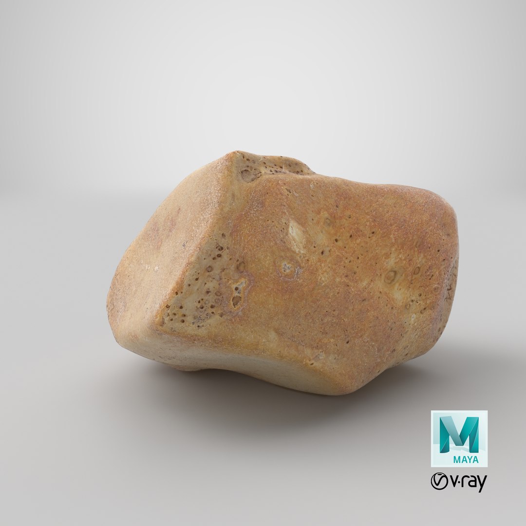 Cuneiform bone intermediate 01 3D model - TurboSquid 1505117