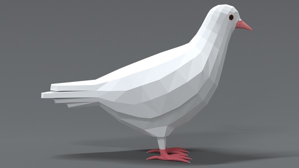 3D Low Poly Cartoon White Pigeon - TurboSquid 1868579