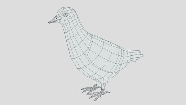 3D Low Poly Cartoon White Pigeon - TurboSquid 1868579