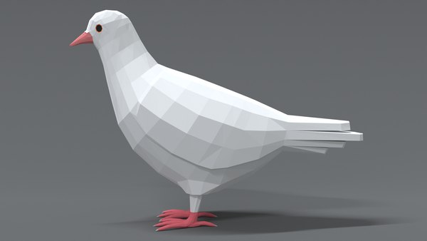 3D Low Poly Cartoon White Pigeon - TurboSquid 1868579