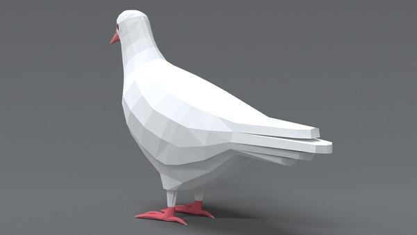3D Low Poly Cartoon White Pigeon - TurboSquid 1868579