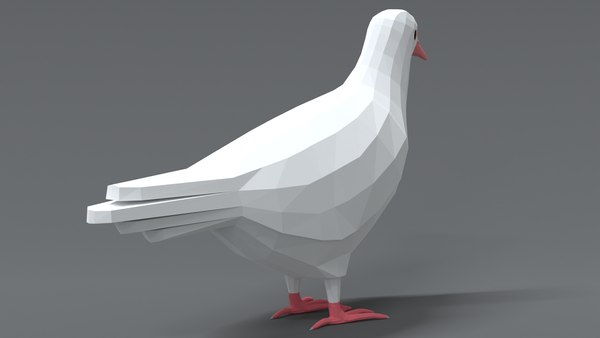 3D Low Poly Cartoon White Pigeon - TurboSquid 1868579