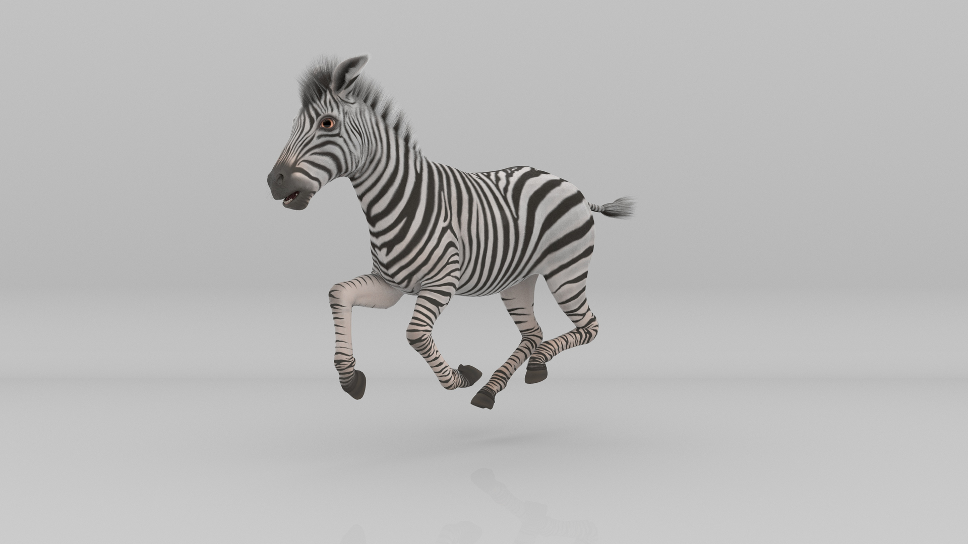 3D Zebra FUR ANIMATED Model - TurboSquid 1961979