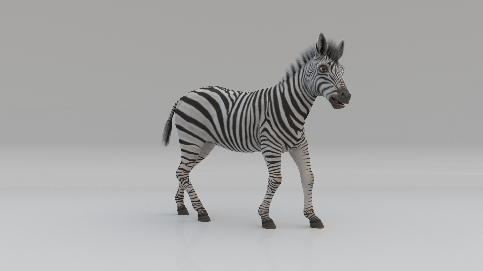 3D Zebra FUR ANIMATED Model - TurboSquid 1961979