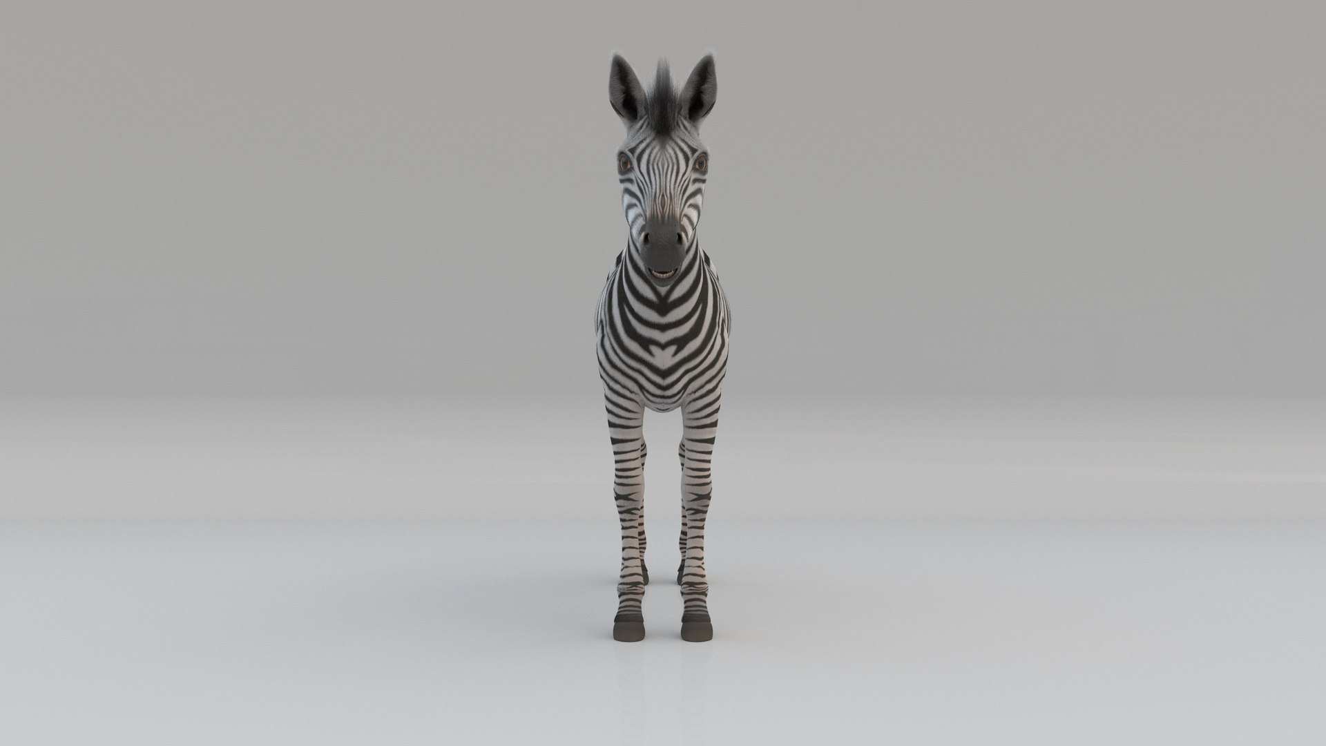 3D Zebra FUR ANIMATED Model - TurboSquid 1961979