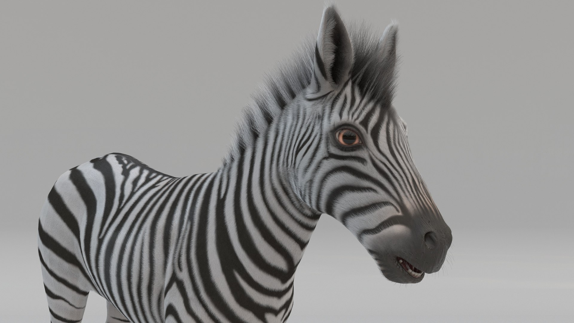 3D Zebra FUR ANIMATED Model - TurboSquid 1961979