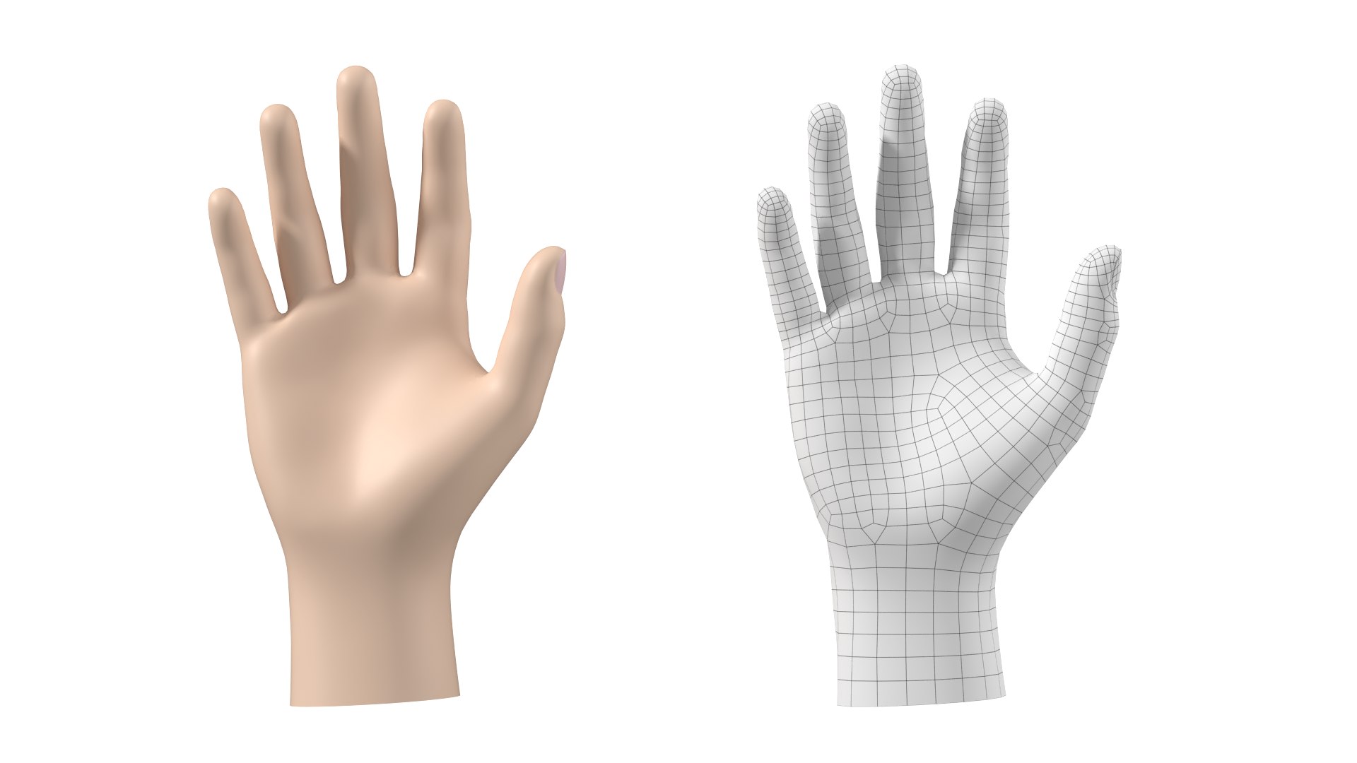 Male Hand Base Mesh 02 Model - TurboSquid 2189857