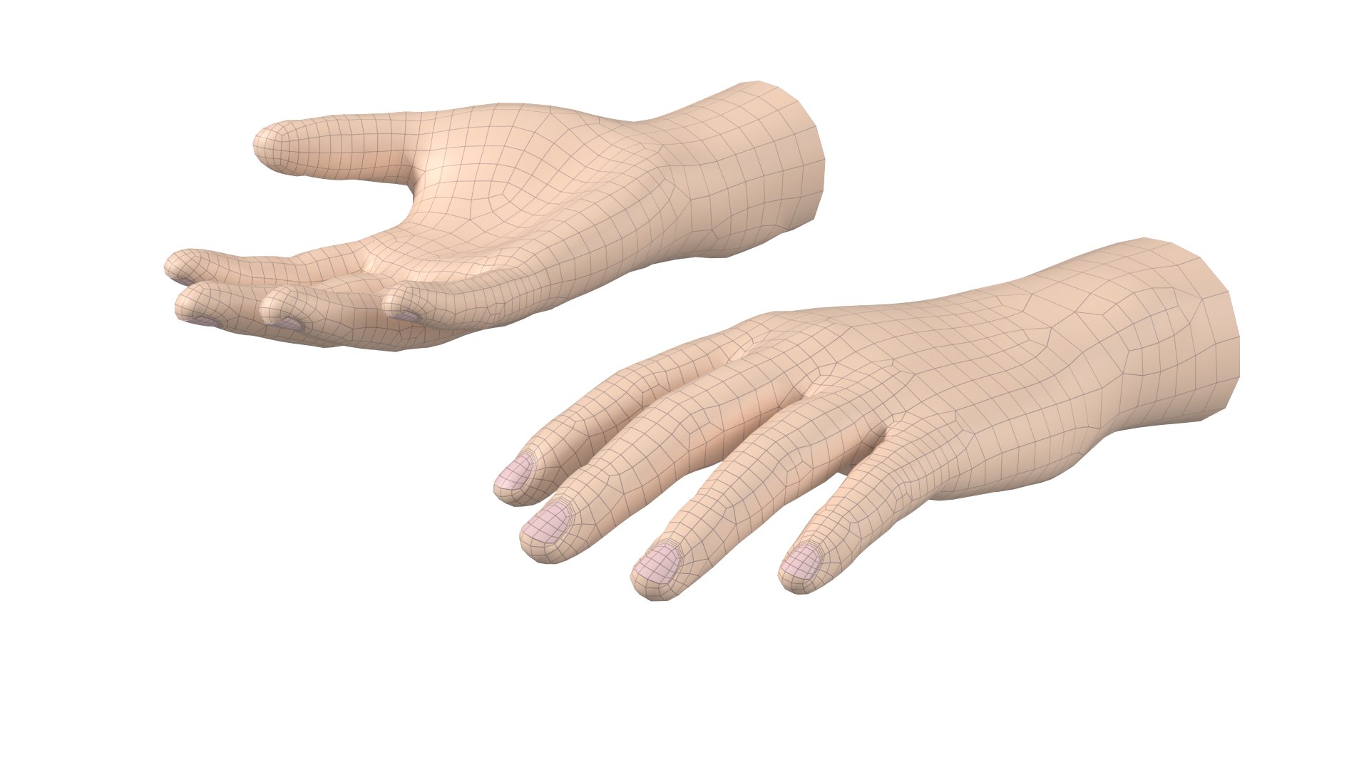 Male Hand Base Mesh 02 Model - TurboSquid 2189857