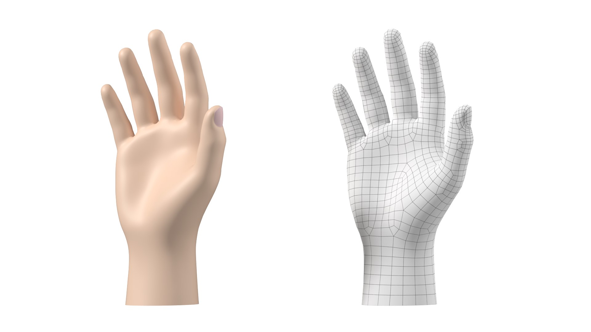 Male Hand Base Mesh 02 Model - TurboSquid 2189857