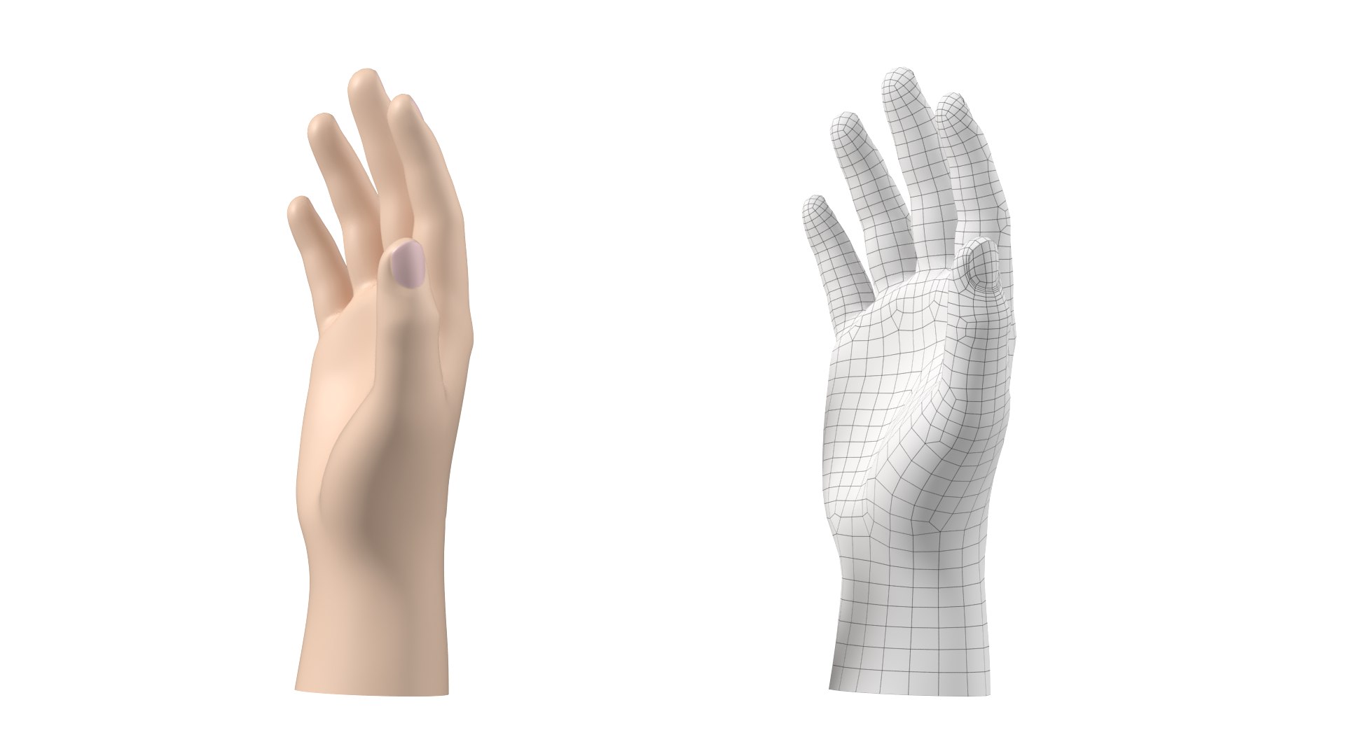 Male Hand Base Mesh 02 Model - TurboSquid 2189857