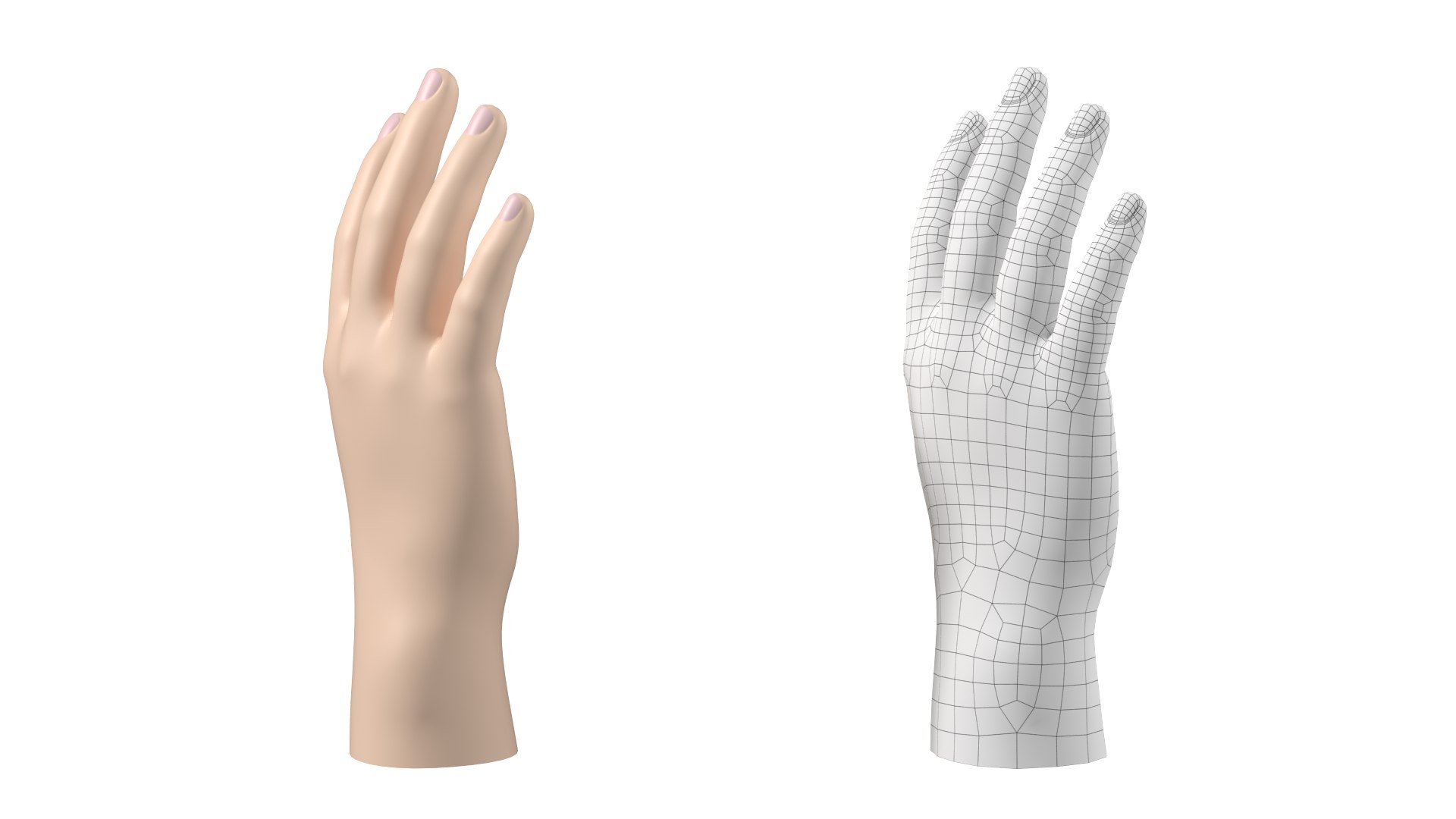 Male Hand Base Mesh 02 Model - TurboSquid 2189857