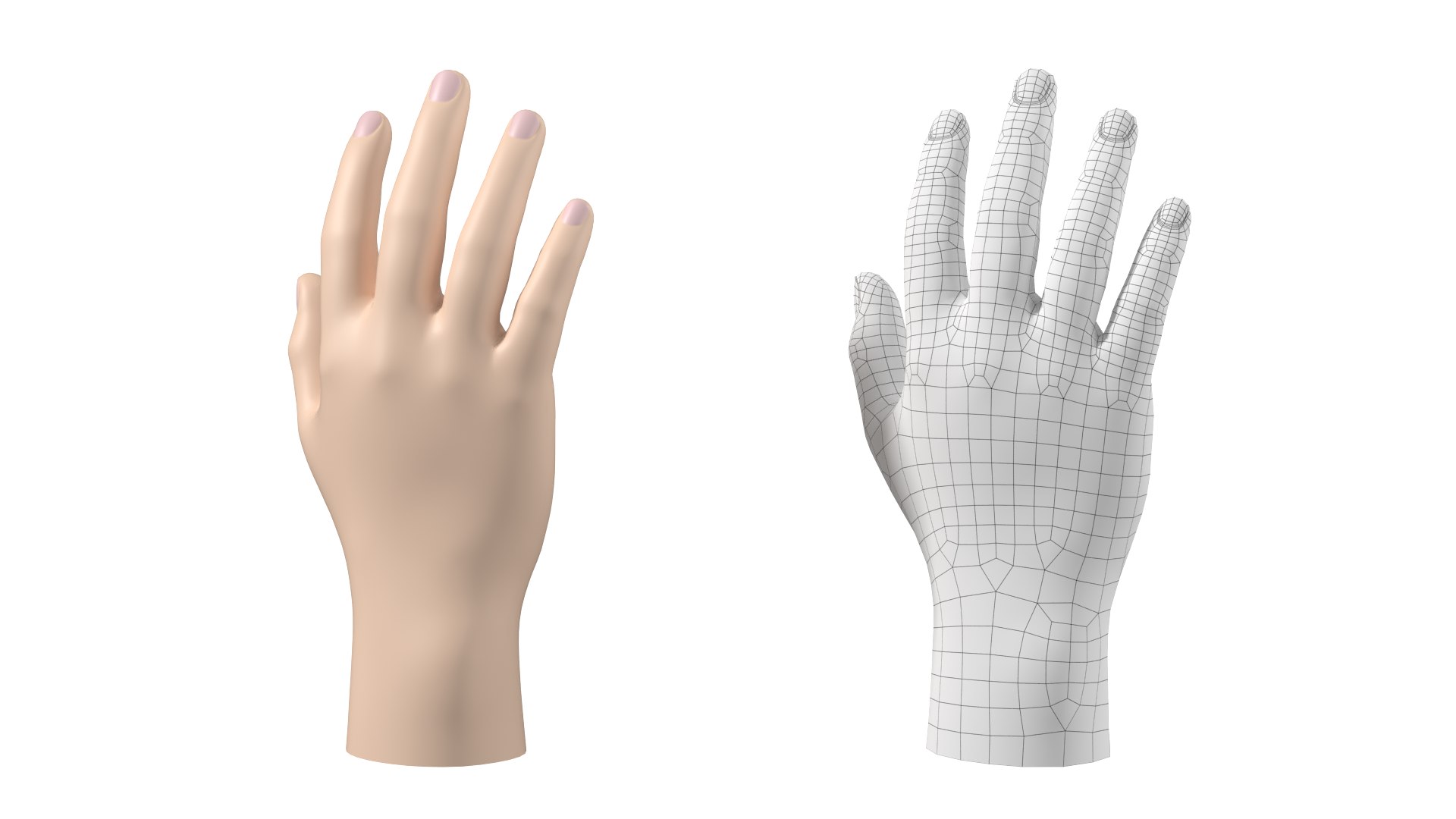 Male Hand Base Mesh 02 Model - TurboSquid 2189857