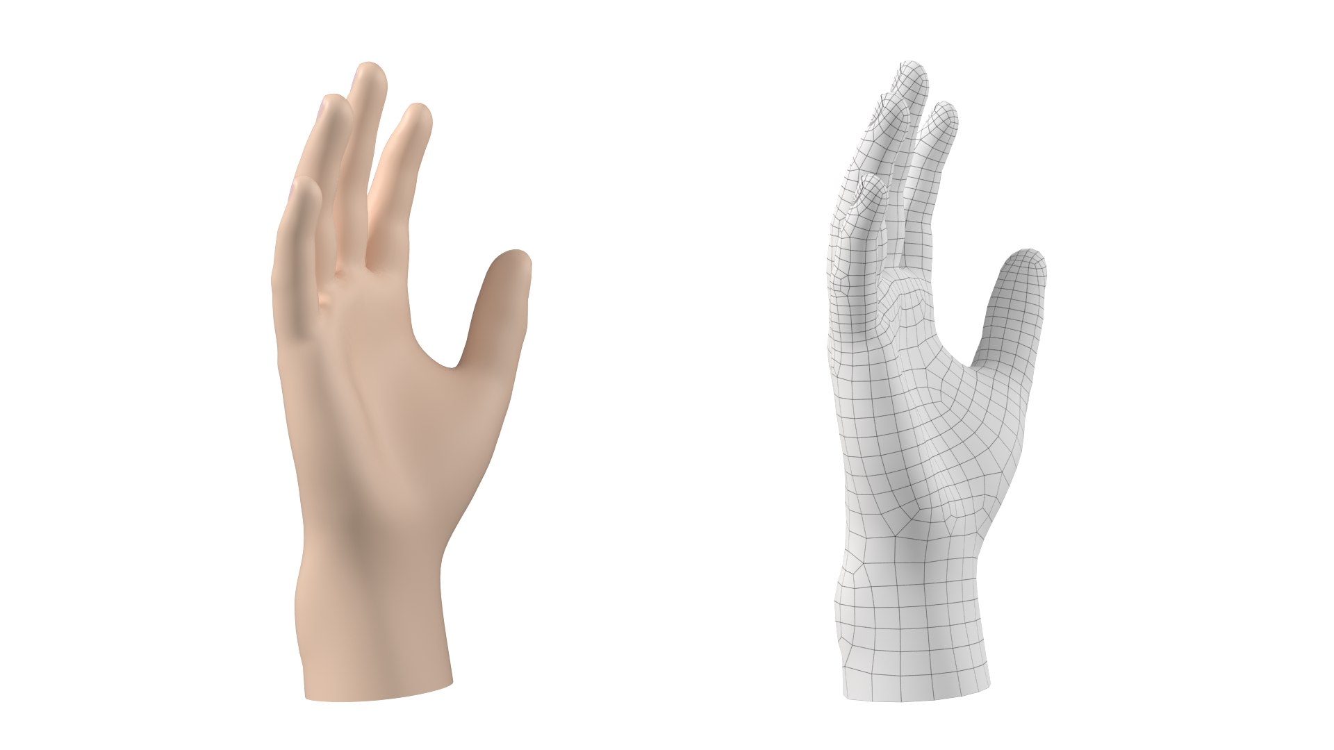 Male Hand Base Mesh 02 Model - TurboSquid 2189857