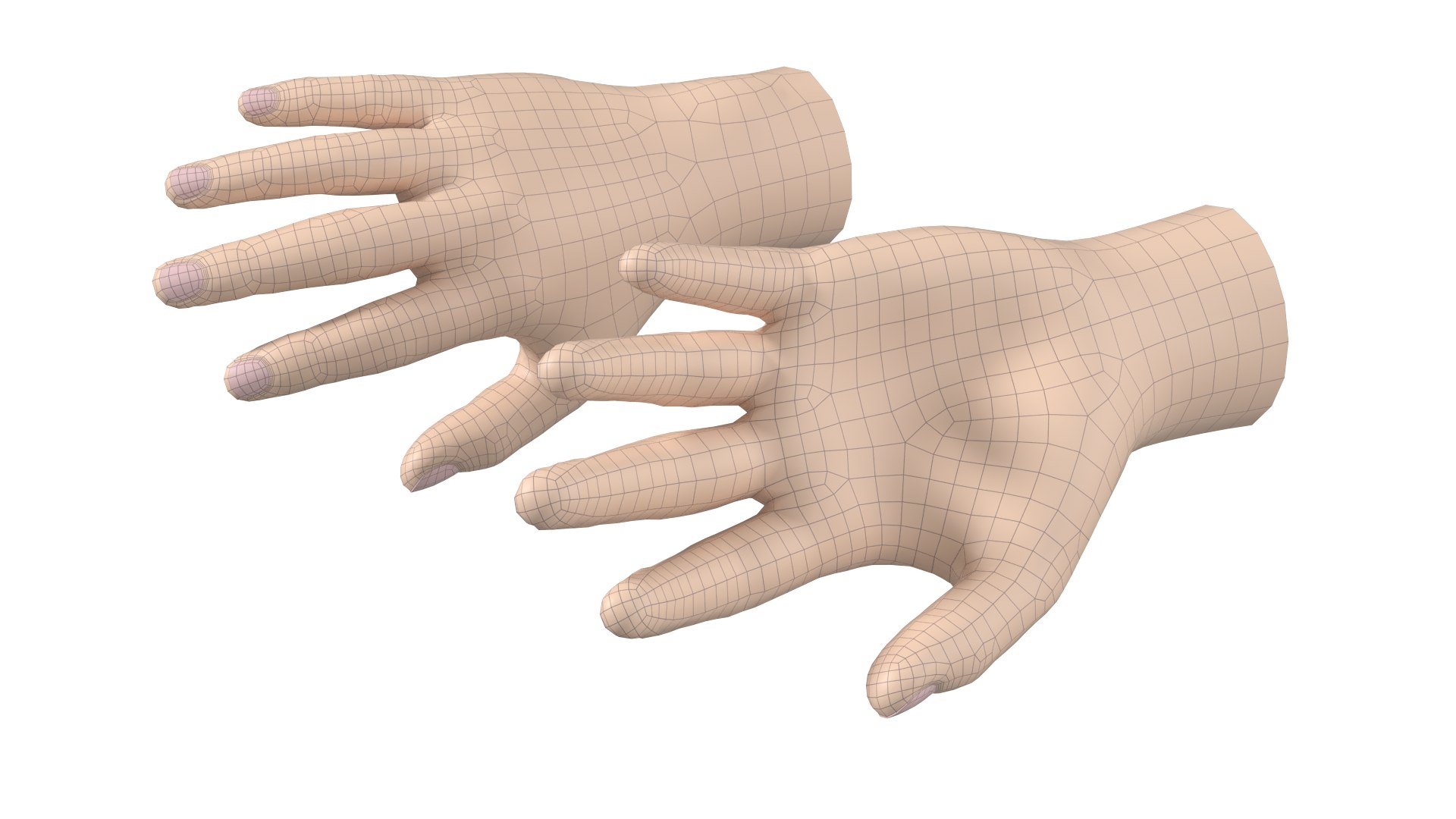 Male Hand Base Mesh 02 Model - TurboSquid 2189857