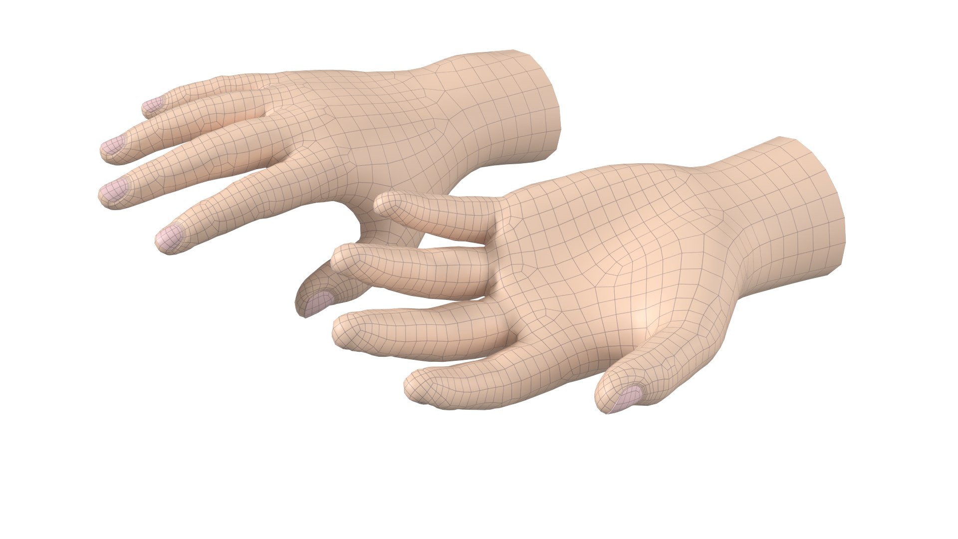 Male Hand Base Mesh 02 Model - TurboSquid 2189857