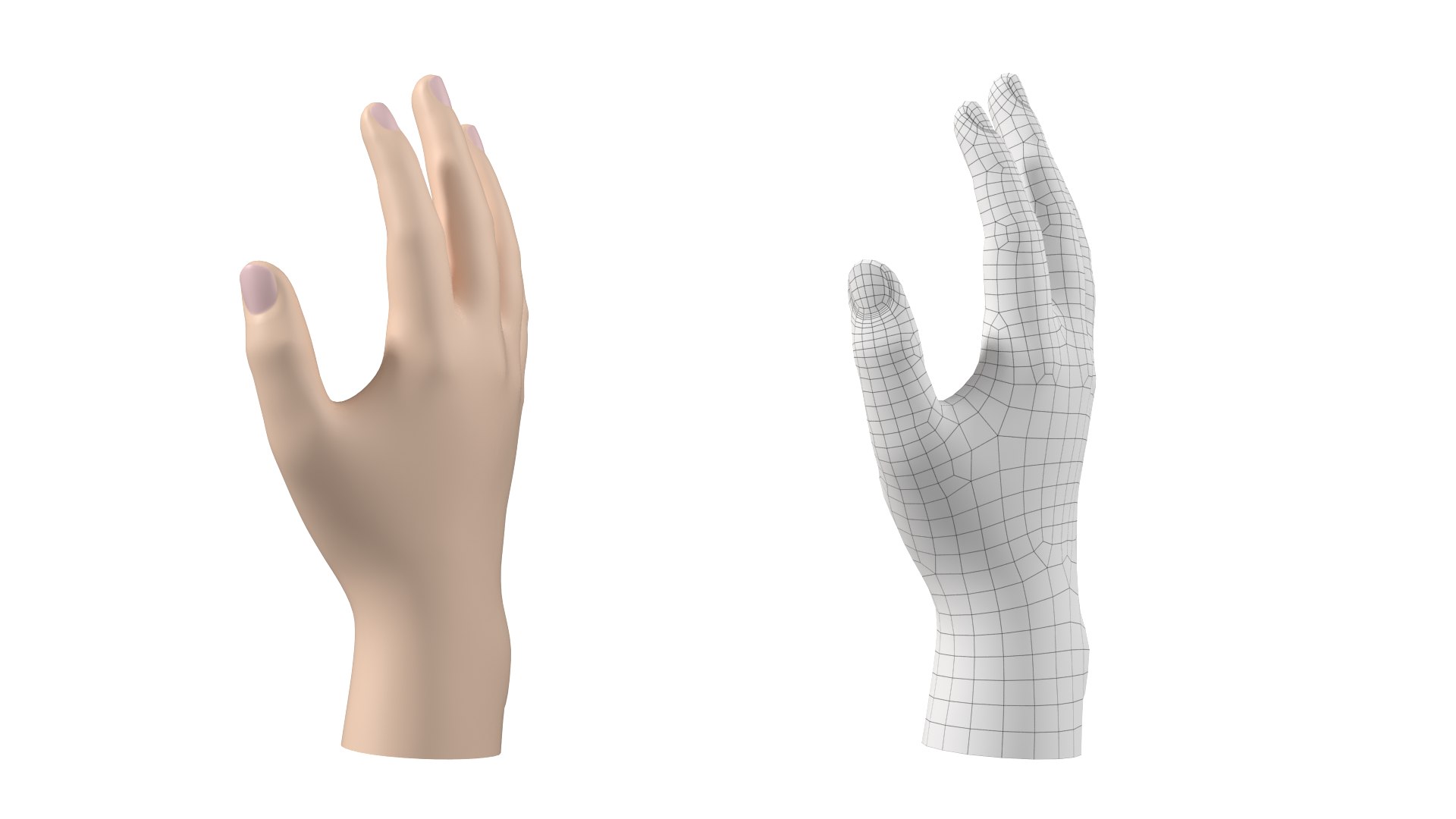Male Hand Base Mesh 02 Model - TurboSquid 2189857