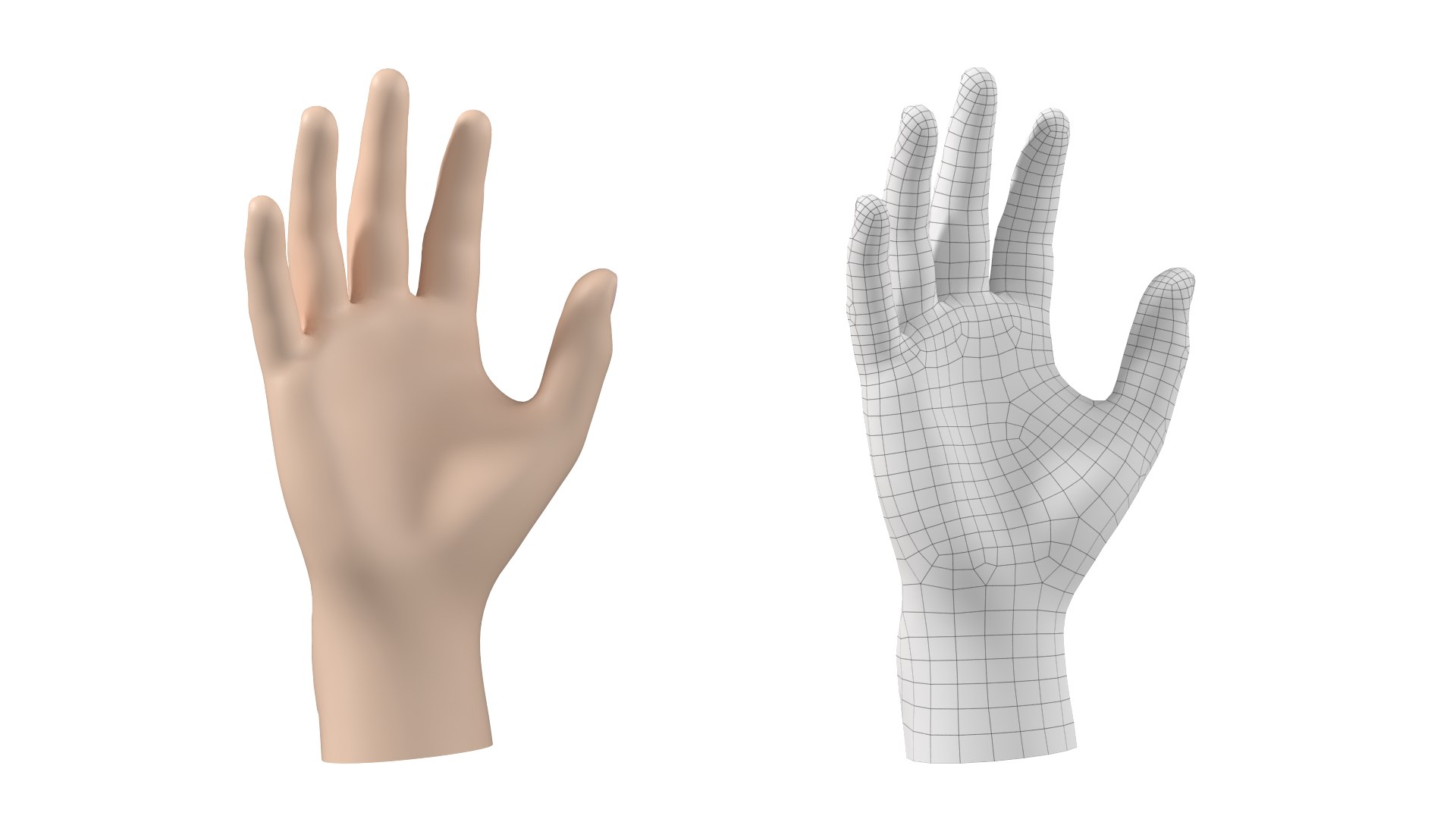 Male Hand Base Mesh 02 Model - TurboSquid 2189857