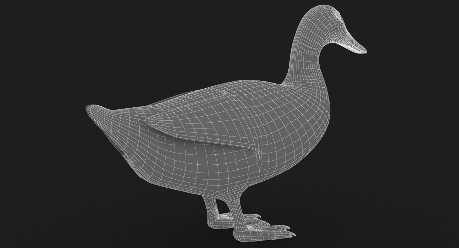 Realistic duck 3D model - TurboSquid 1151002
