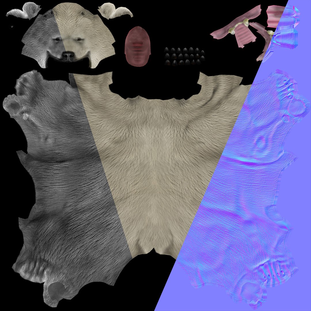 3D White Bear Model - TurboSquid 1396936