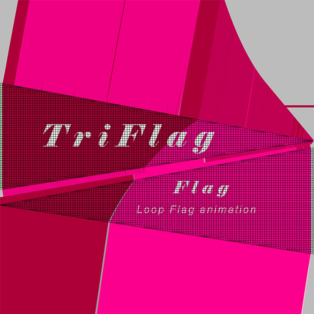 3D Flag Tri Model - TurboSquid 1688620