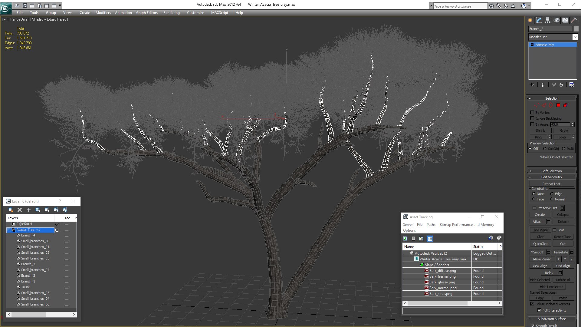 3D Winter Acacia Tree Model - TurboSquid 1461789