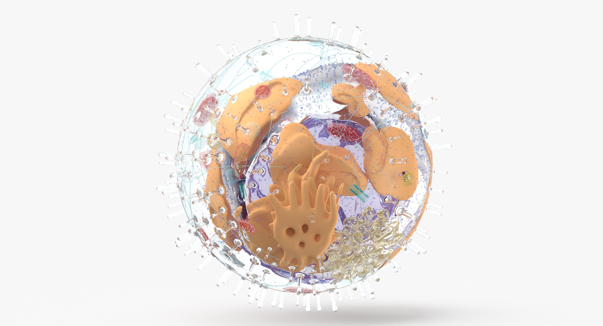 Human Cell 3D - TurboSquid 1925423