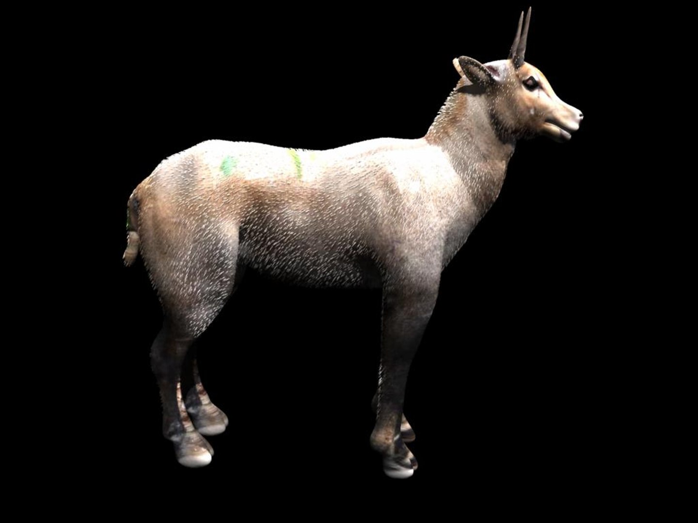 3ds Max Nilgai