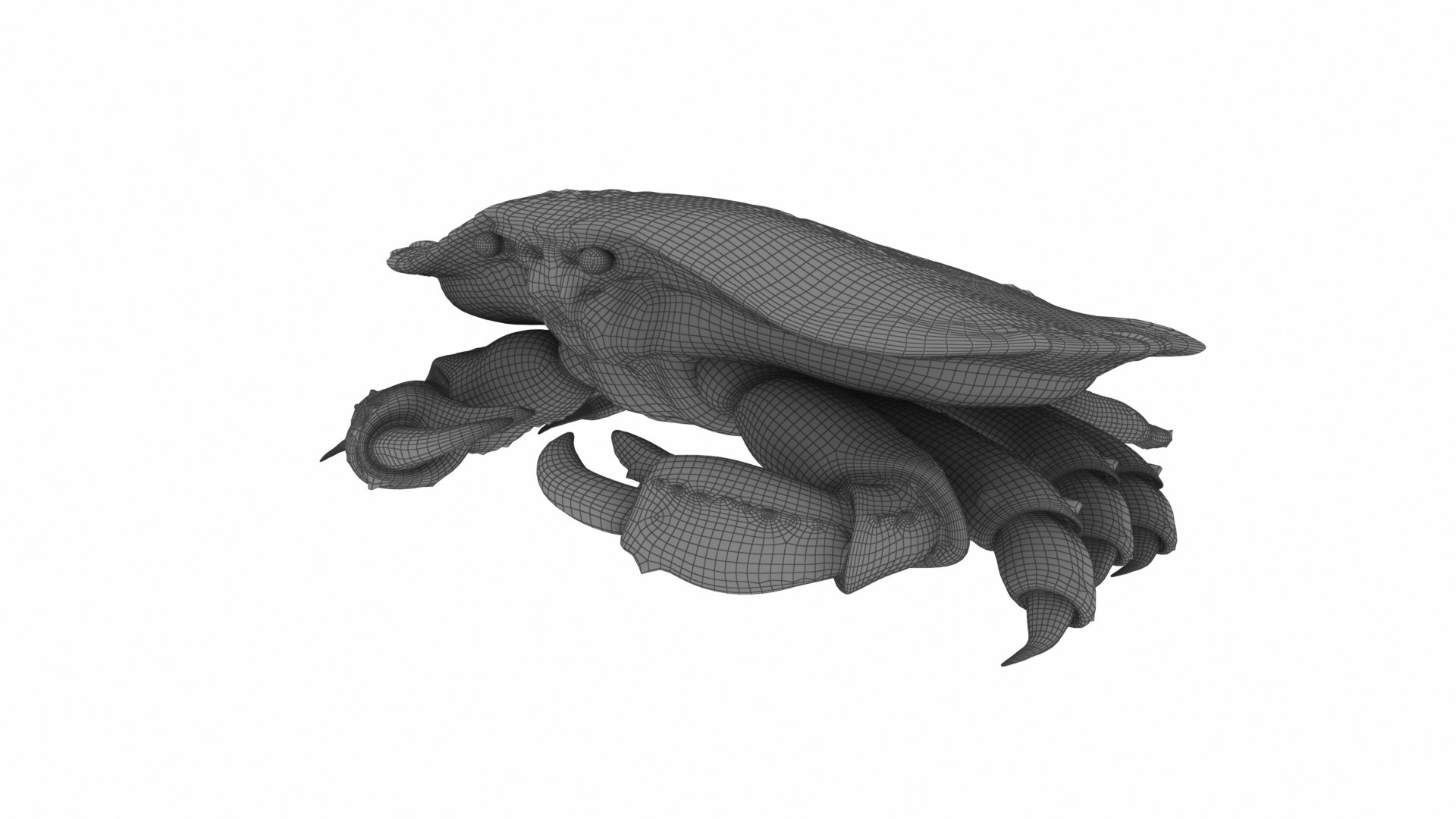 3D model crab animal crustacean - TurboSquid 1496376