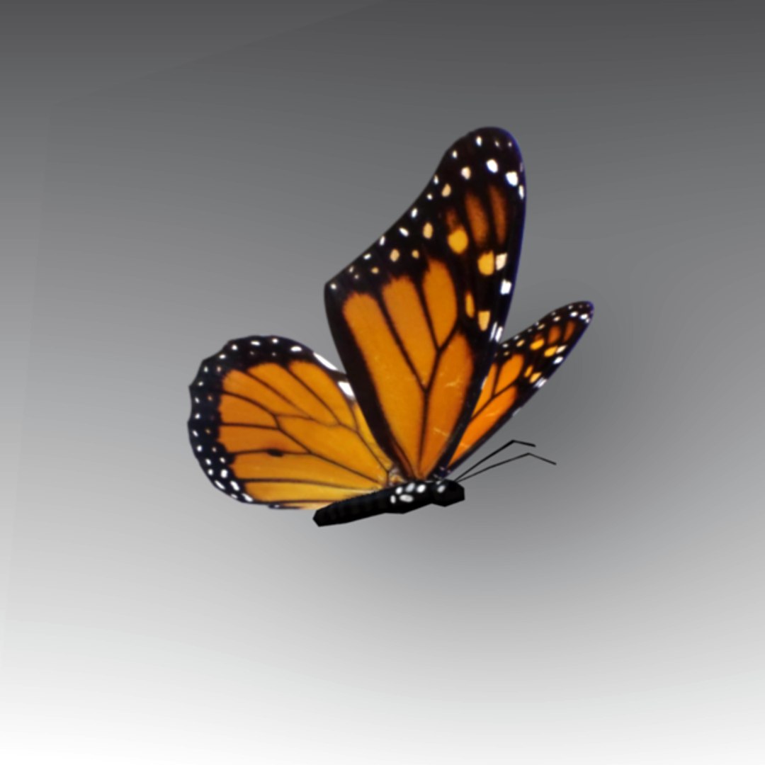 Butterfly Wings Fly 3d Model