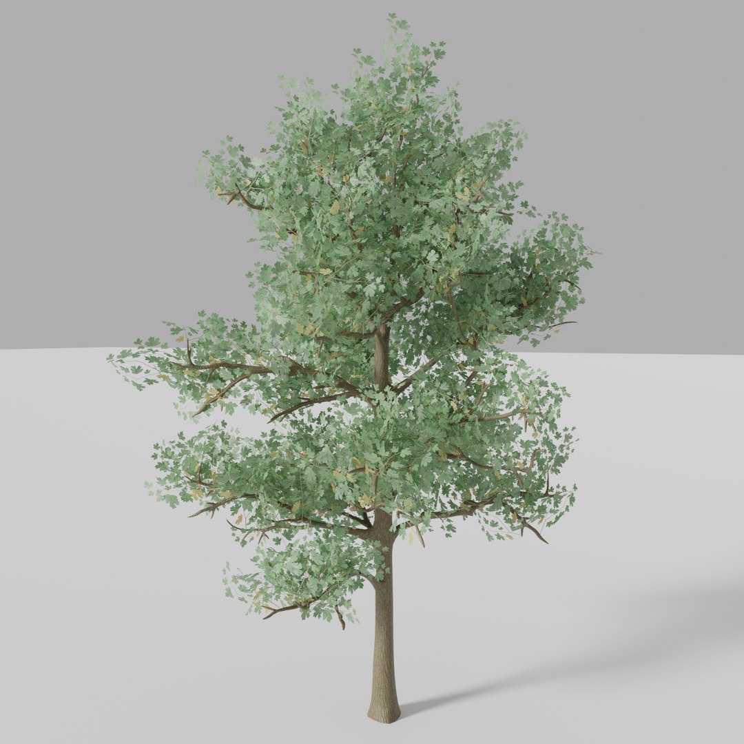 3D Model Trees Realistic - TurboSquid 1530180